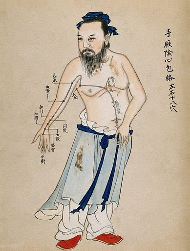 Acupuncture Chart With A Series Of Points Indicated On The Free