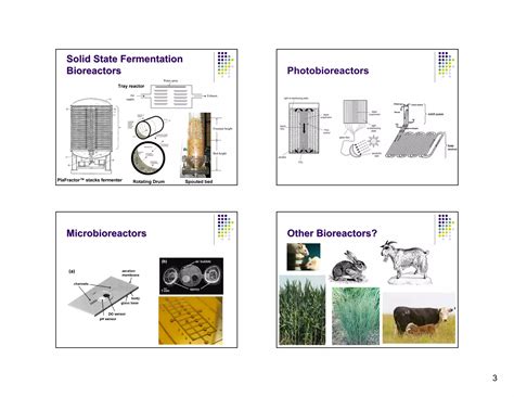Lecture 1 Bioreactor Pdf