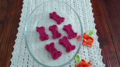6 Biscoitos Para Cães Caseiros Receitas