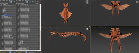 Modello 3d Anomalocaris Animato Turbosquid 1775931