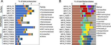 Metagenome Derived Relative Abundance 16s Rrna Gene Of Bacteroidetes Download Scientific