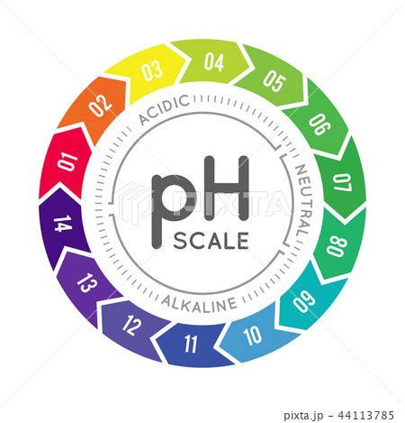 pH meter for measuring acid alkaline balance....のイラスト素材 [44113785] - PIXTA