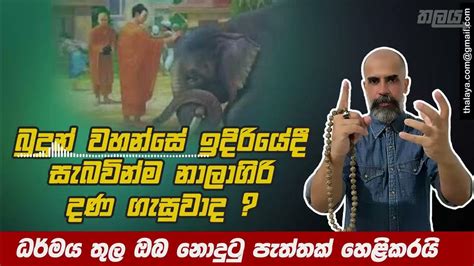 බුදුන් වහන්සේ ඉදිරියේදී සැබවින්ම නාලාගිරි දණ ගැසුවාද ධර්මය තුල ඔබ