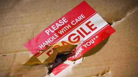 5 Steps To The Carton Drop Test