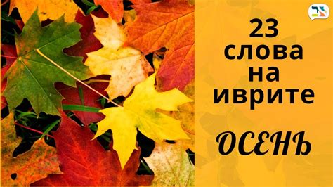 23 слова на иврите ОСЕНЬ ДОЖДЬ ВЕТЕР иврит Изучение иврита Youtube