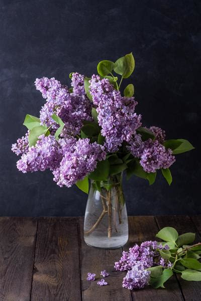 دسته گل یاسی در گلدان شیشه ای روی زمینه مشکی نور خورشید 1600033