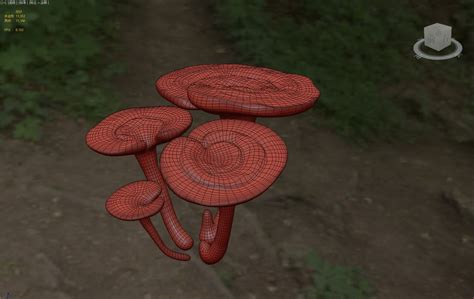 Plants Ganoderma Lucidum Fungal Vegetation 3d Model Turbosquid 1909545