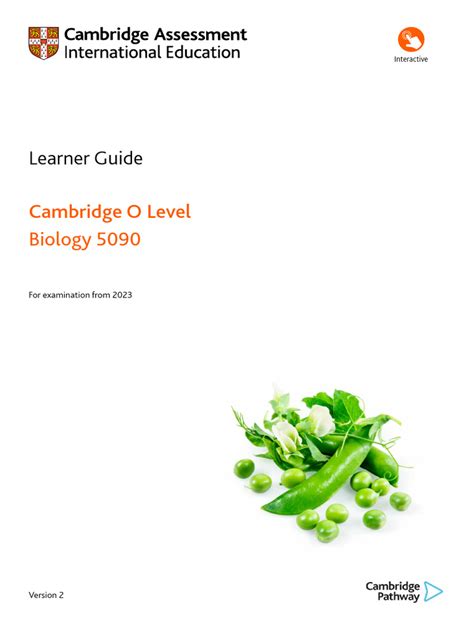 biology learners guide new pdf digestion human digestive system