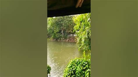 Brish🌧️🌧️⛈️shortvideos Viral Youtube