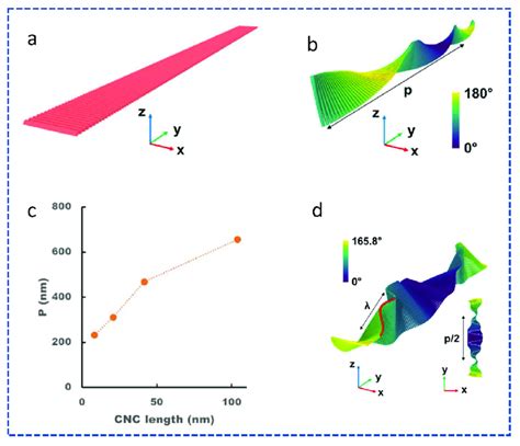 Molecular Dynamic Simulation Of Cnc Chirality Investigation A