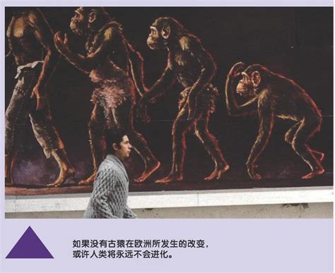 古猿图片古猿人图片原始人图片文秘苑图库