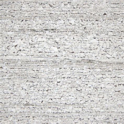 A Ferritic Pearlitic Microstructure Of A Structural Steel From 1965