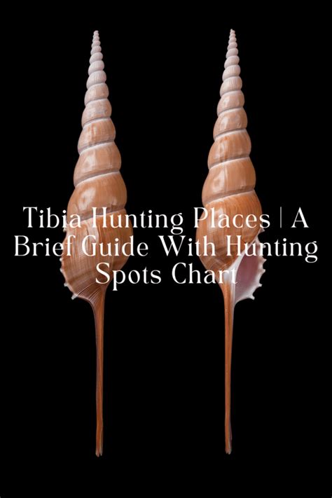 Tibia Hunting Places A Brief Guide With Hunting Spots Chart