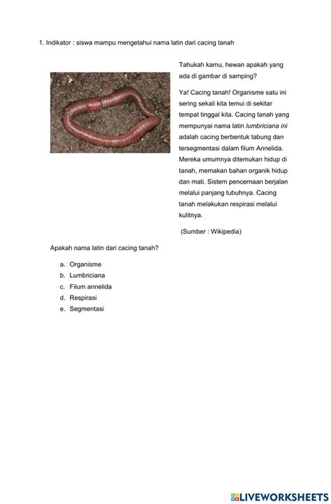 Saintex worksheet | Live Worksheets