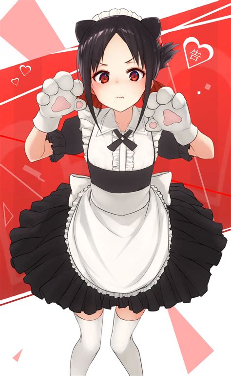 Discover More Like Animemaids Neko Maid Kaguya [kaguya Sama Love Is