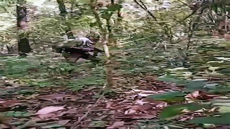 Close Shave For Two Cops As Naxalites Trigger Ied Blast In Chhattisgarh