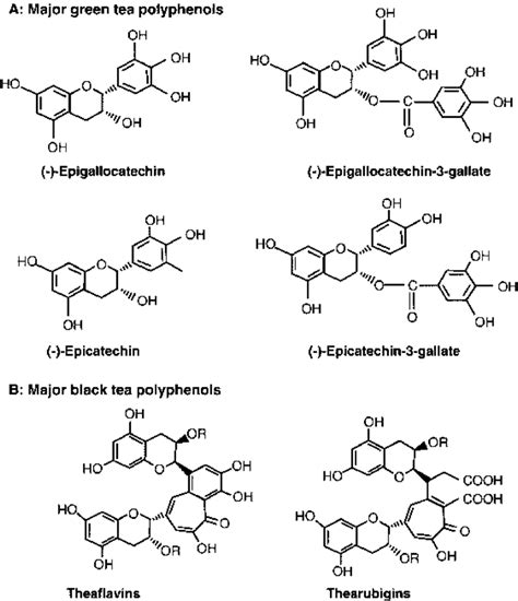 Chemical Structures Of Major Polyphenols Present In Tea A Major