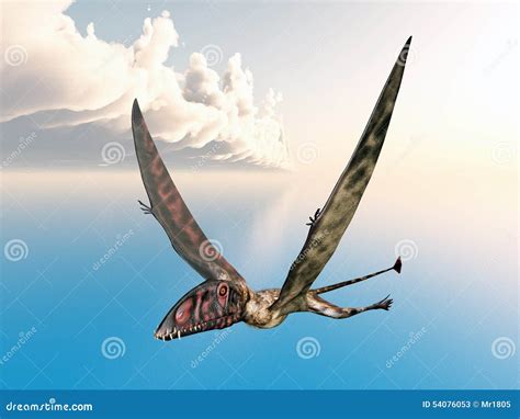 Dimorphodon Reptile Side Profile Royalty Free Stock Image