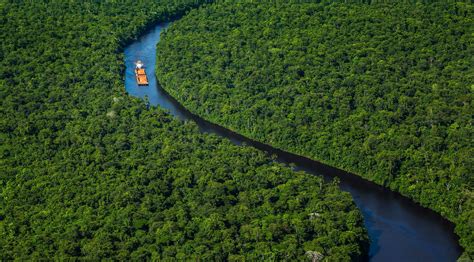 38 Facts About Suriname