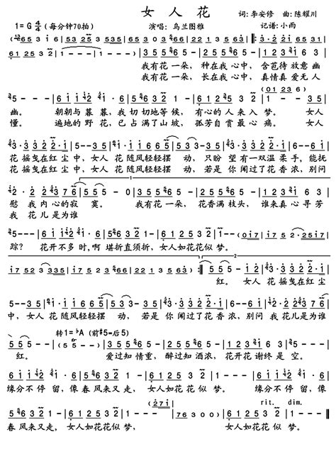 乌兰图雅女人花简谱