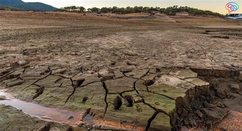 Liquid Nanoclay Technology Turning Deserts Into Farmland Ki Hikila