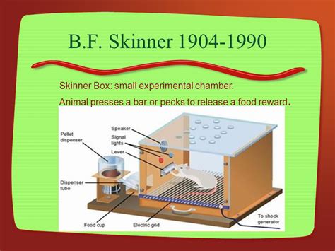 Skinner Box Diagram