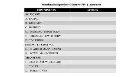 Functional Independence Measure Presentation Pptx