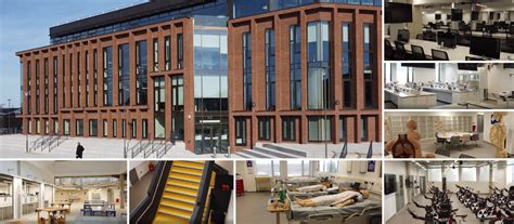 Verena Holmes Building Opens On International Womens Day Hmy Architects