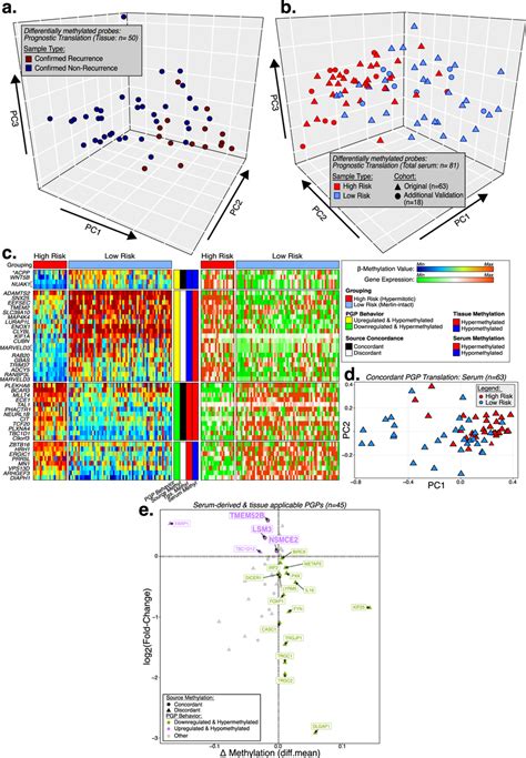 Characterization And Functional Analysis In Silico Of Recurrent Risk