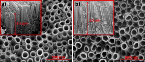 Top View And Cross Sectional Sem Image Of A Pure And B B Tio2 Nts The Download Scientific
