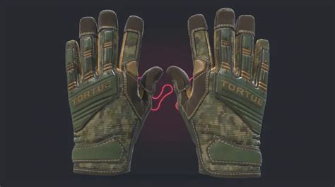 Guide To The Glove Case In CS All Possible Gloves And Prices