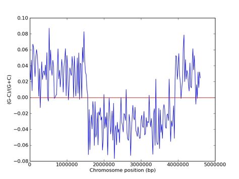 Strand Specific Composition Bias In Bacterial Genomes IntechOpen