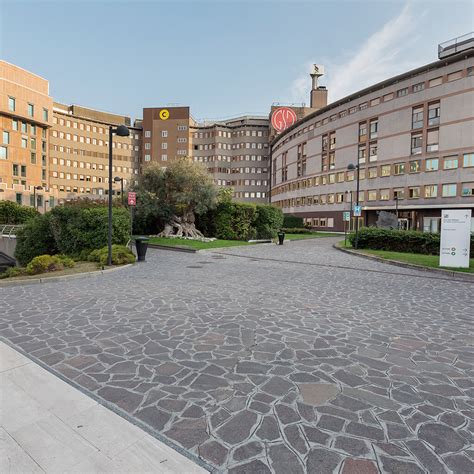 Ospedale San Raffaele GSD Un Groupe De Cliniques En Italie