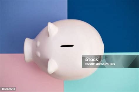 돼지 저금통 평면도입니다 비용 및 재정적 투자를 절약 합니다 다중 색상에 대한 스톡 사진 및 기타 이미지 다중 색상 Charity Benefit 개성 개념 Istock