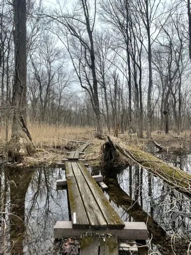 Best Hikes And Trails In Closter Nature Center Alltrails