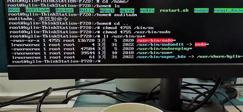 Linux文件权限错误——用getfacl和setfacl恢复。从启动盘运行getfacl提示权限不够 Csdn博客