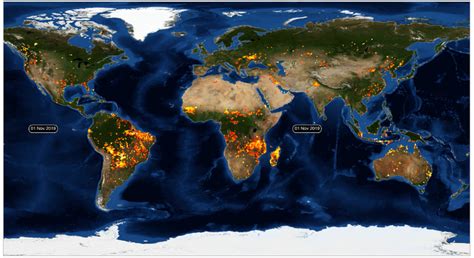 Cotas Récord De La Intensidad De Los Incendios Forestales En 2020