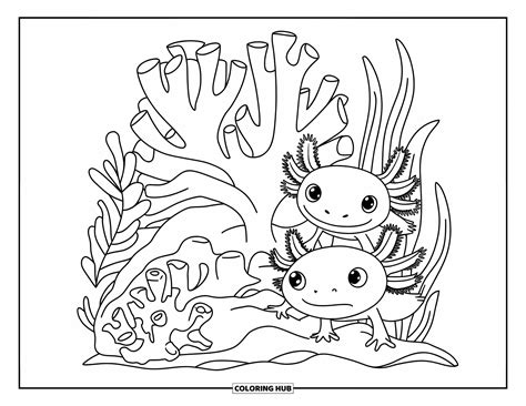 Axolotl Coloring Page Free