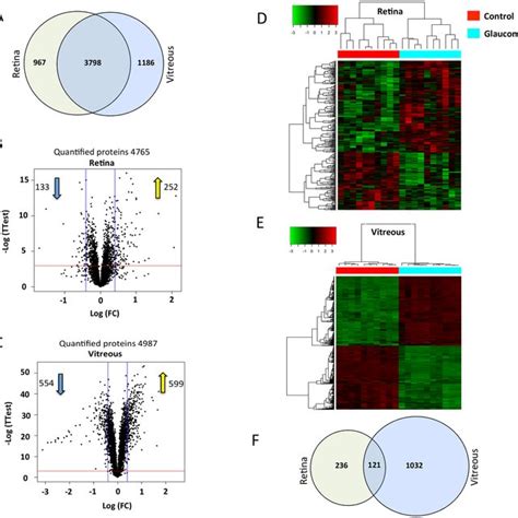 Results Of Proteomics Analysis And Quality Control Measurements A Download Scientific