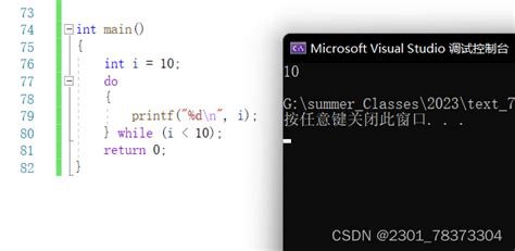 分支循环的举例 Csdn博客