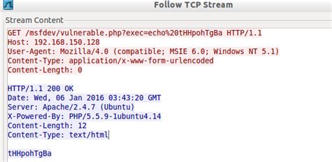 Creating Your Own Simple Exploit Module For A Remote Code Execution In Web Apps Infosec