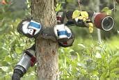 Carnegie Mellons Incredible Robot Snake Climbs A Real Tree