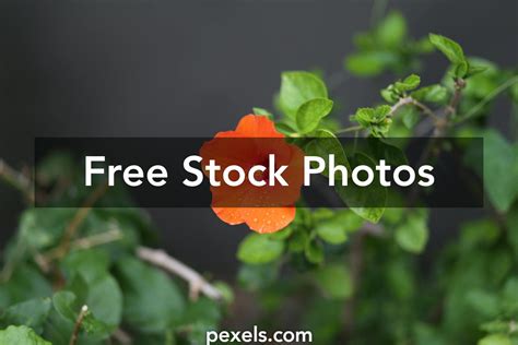 Pics For Color Corection Photos Download The Best Free Pics For Color