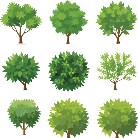 Fantastic Forest Trees Bushes Plants Art Vector Outline Floral Nature Vector Outline Floral