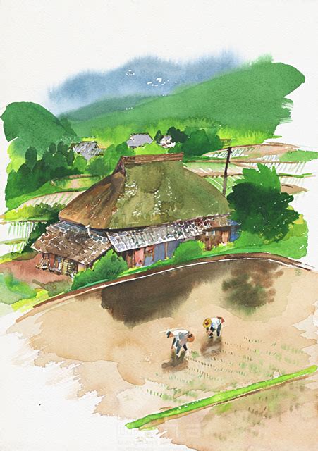 自然、風景、地球、世界、日本、春、ほのぼの、そよ風、開放感、農村、田んぼ、稲作、田畑、農家、農業、田舎、藁葺屋根、田植え、民家、情緒、風情