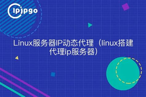 Linux Server Ip Dynamic Proxy Linux Build Proxy Ip Server Ipipgo