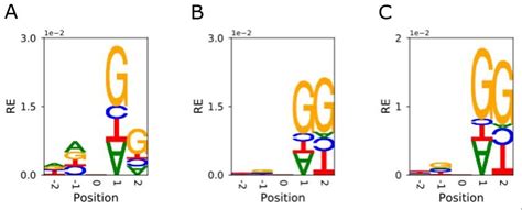 The Nucleotide Sequence Context In Which C→t Transitions Occur Relative