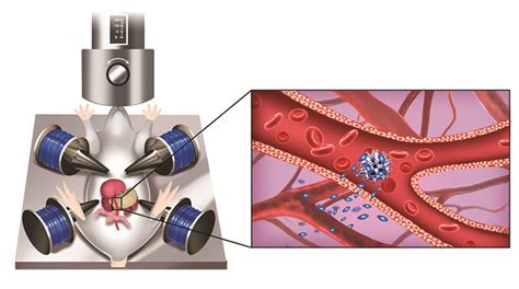 Automated In Vivo Navigation Of Magnetic Driven Microrobots Using Oct