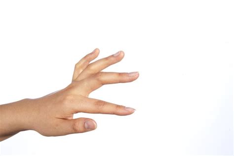 รูปภาพdita เลือกดูภาพถ่ายสต็อก เวกเตอร์ และวิดีโอ13475 Adobe Stock