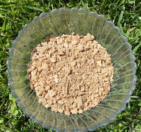 Calamus Root Organic 1 Oz Acorus Calamus Sweet Flag Dried Etsy